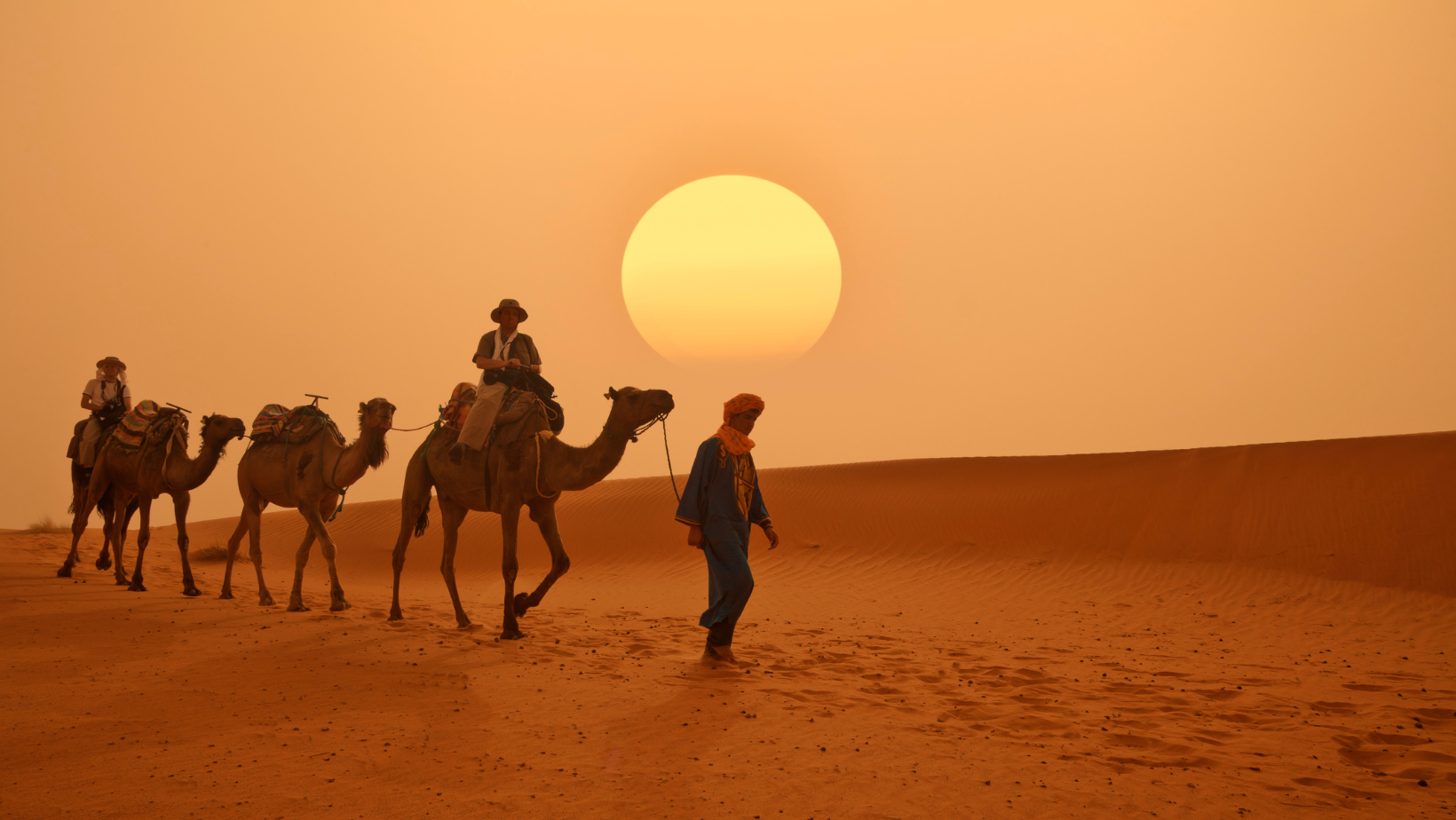 Exploring The Colors of Morocco - Black and Traveled